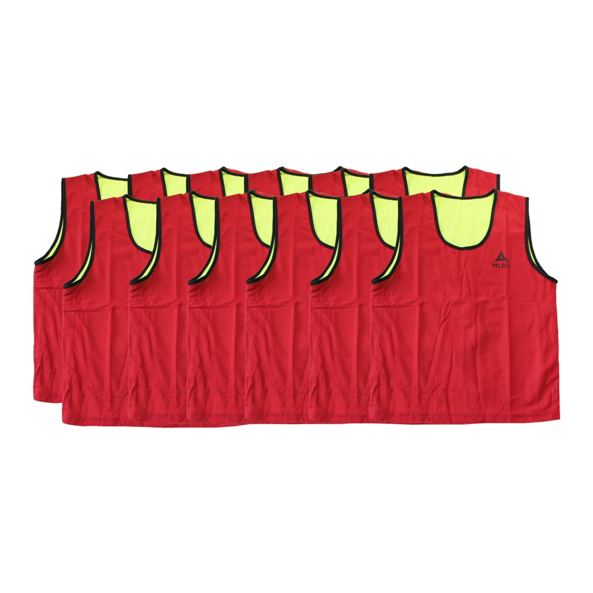 Reversible training bib